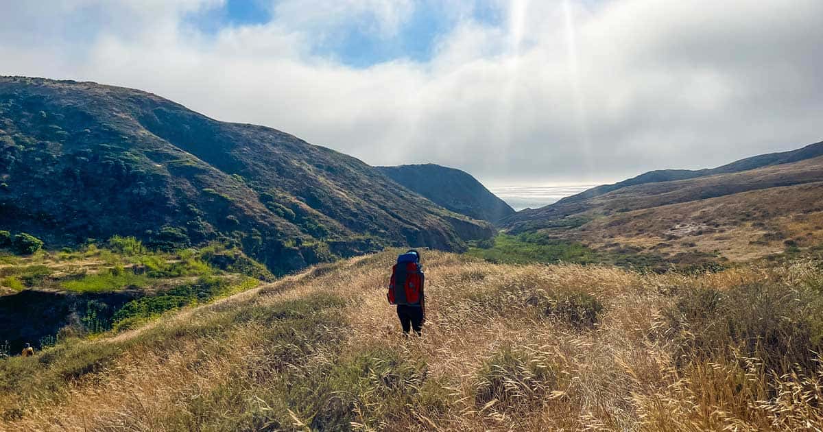 Your Guide to Enjoying Nature This Summer | Wild Kingdom