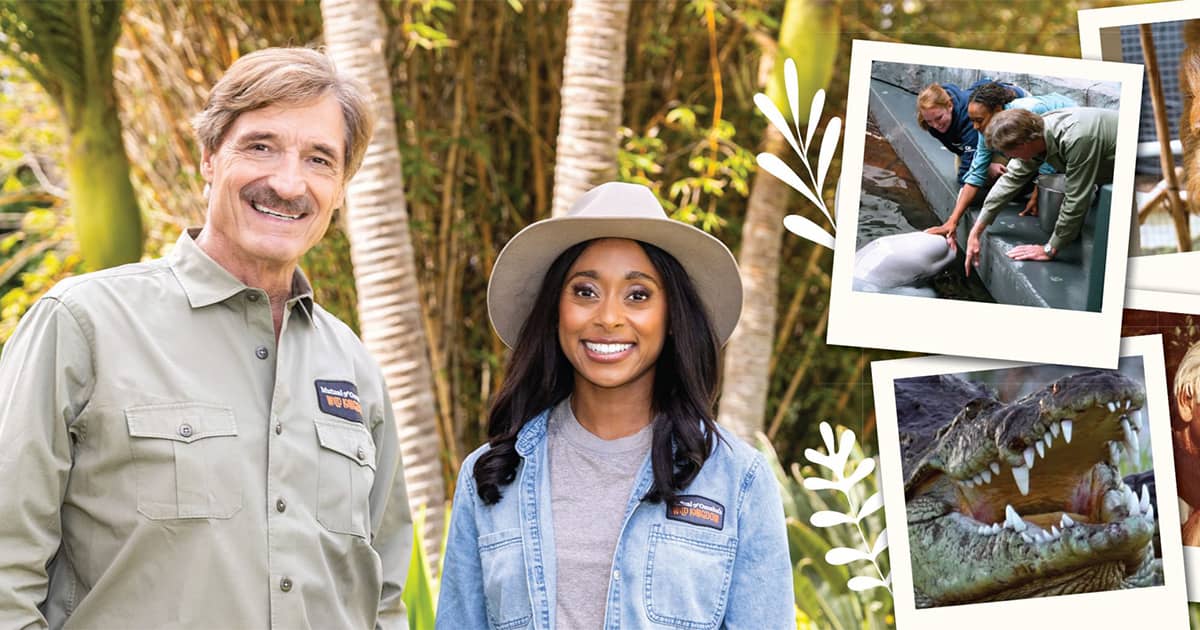 Mutual of Omaha's Wild Kingdom Awards and Recognition