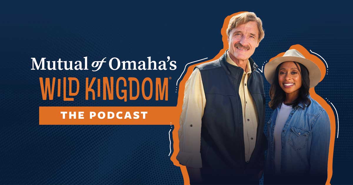 Wild Kingdom The Podcast | Listen Today